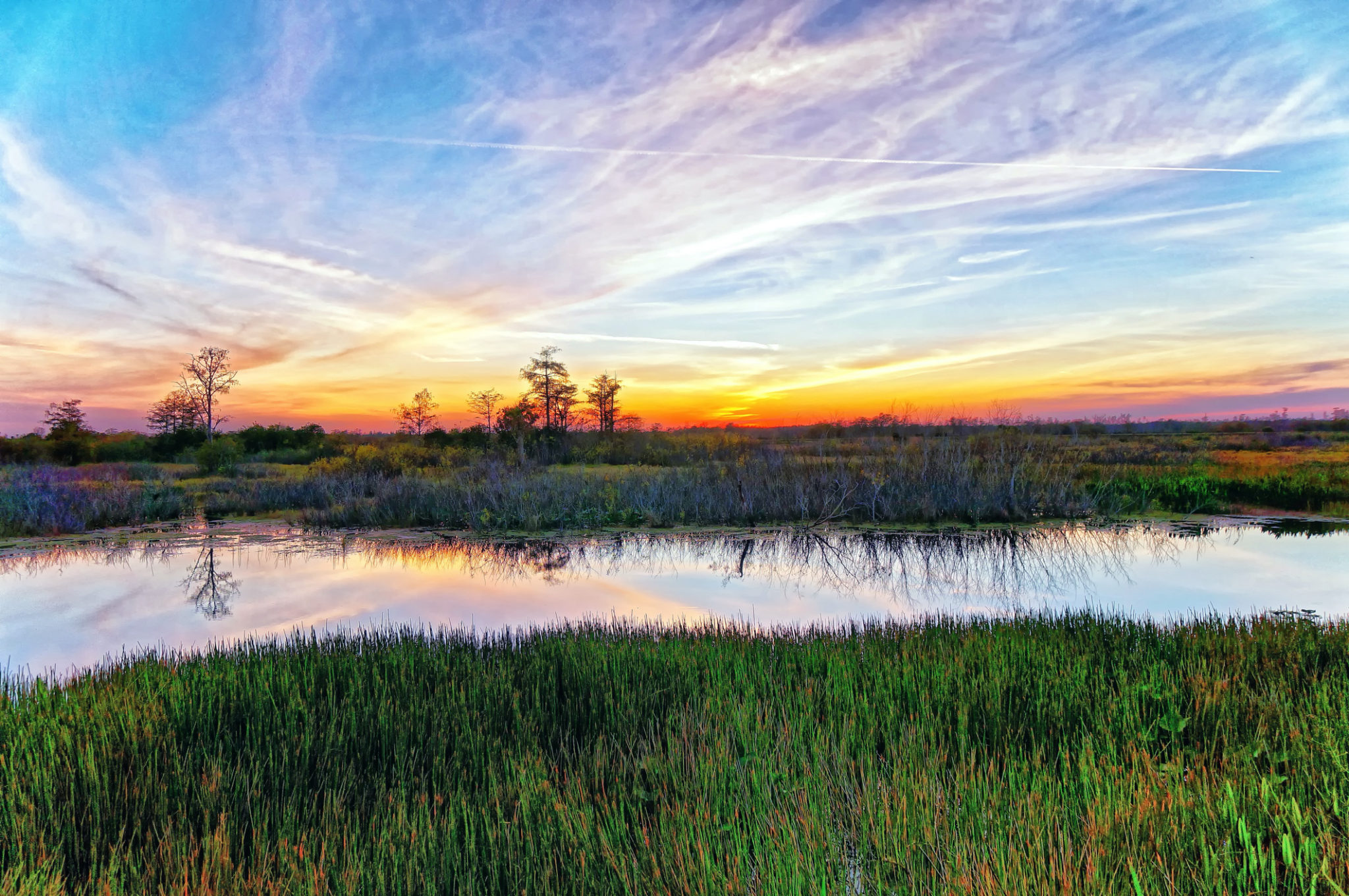 Pivvot's Environmental Impact Assessment Software